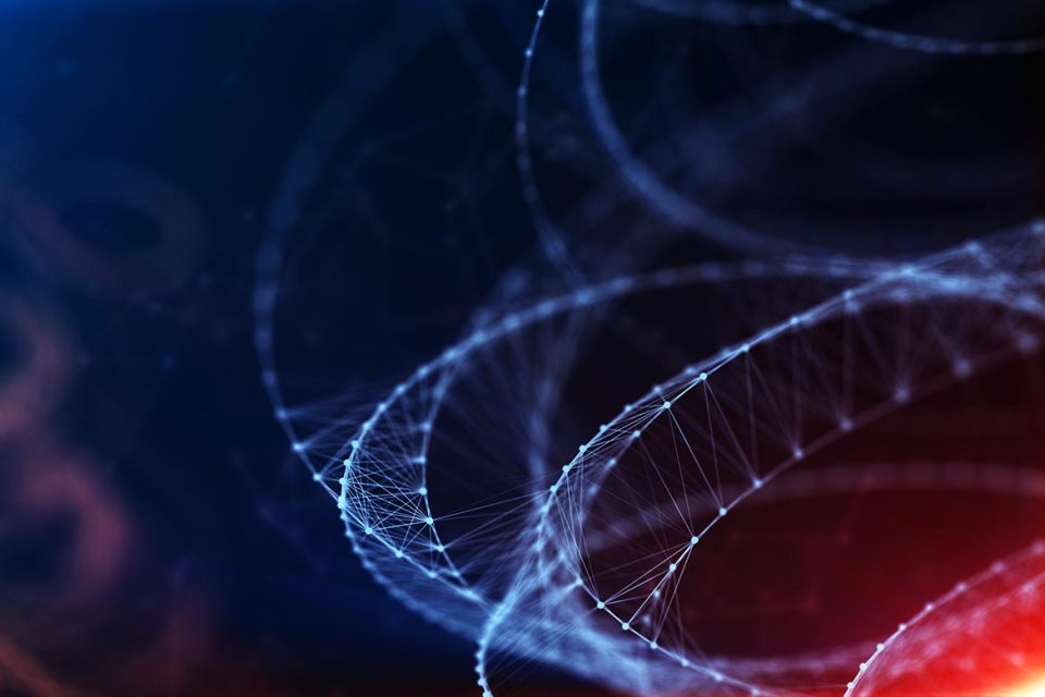 Google introduces Neural Networks API in DP of Android 8 Developer Review - Ogulaghavanguards